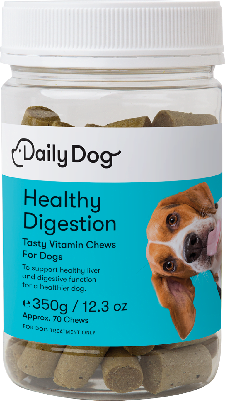 Healthy Digestion – Daily Dog